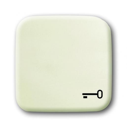 Busch-Jaeger 2520 TR-212 BJ WIP V.PULS SLEUT 2520TR-212 (2520 TR-212 ...